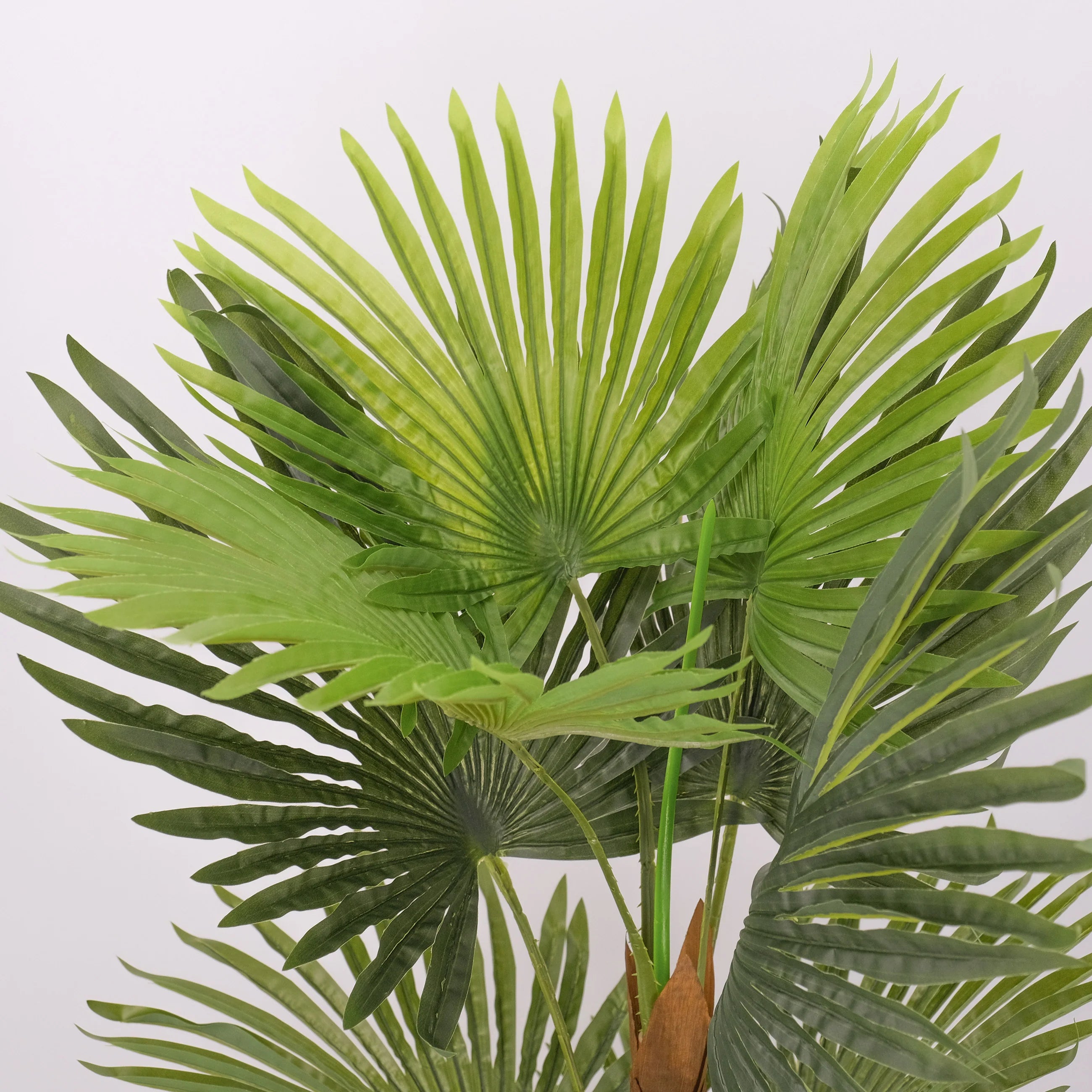 Artificial Fan Palm (120cm) – The Foliage Edit